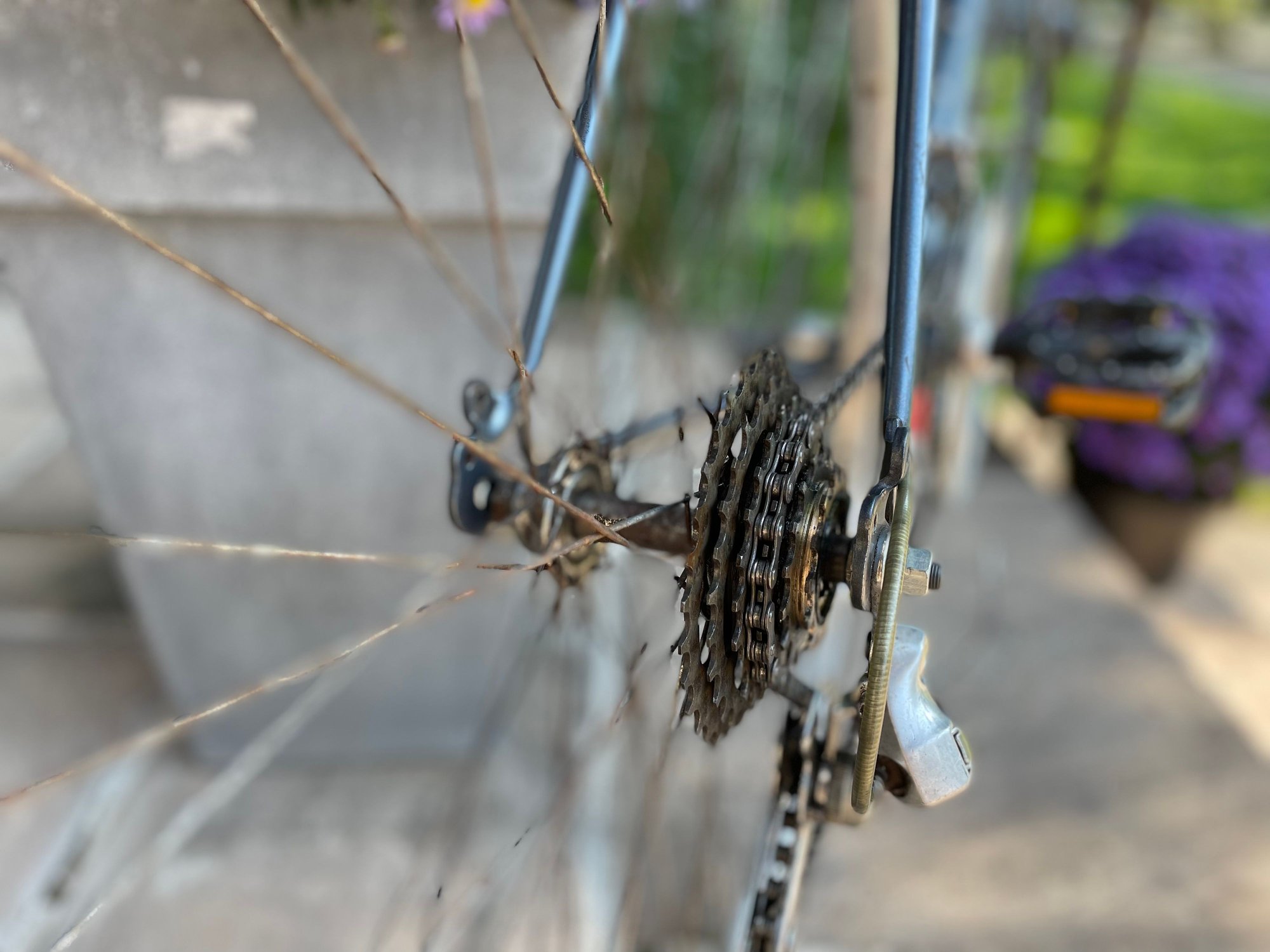 Chain skip/ jumping teeth in 6th/12th gear - Bike Forums
