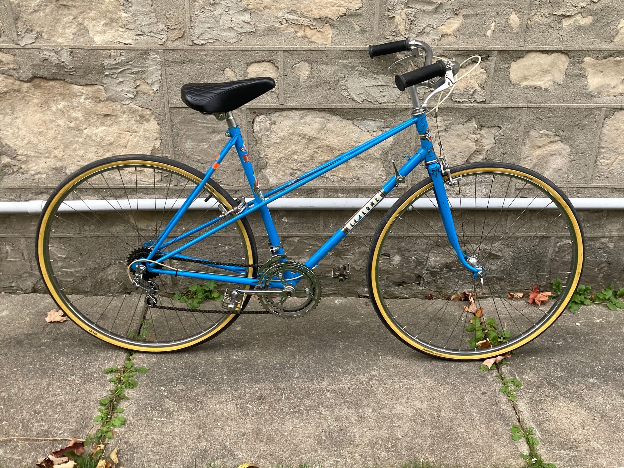 Old Man Mixte - Bike Forums