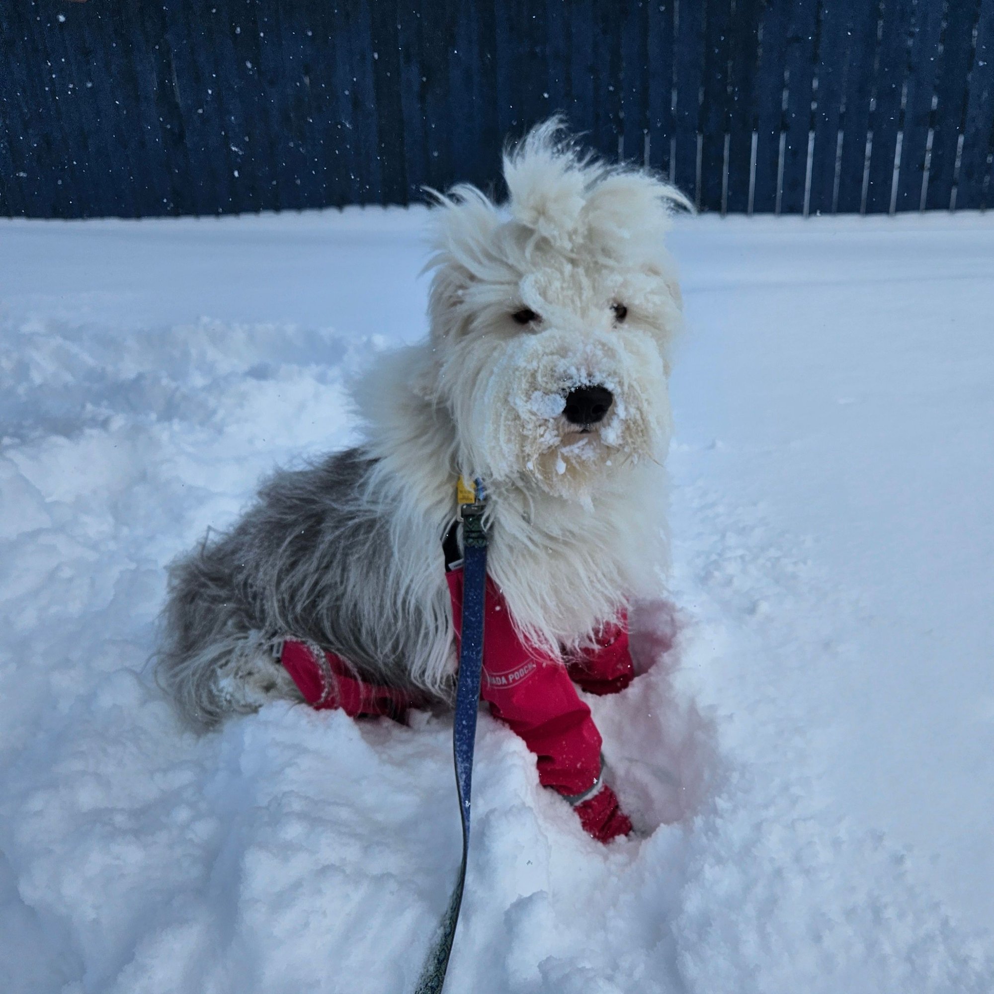 Addiction 2025.4 - Page 128 - Bike Forums