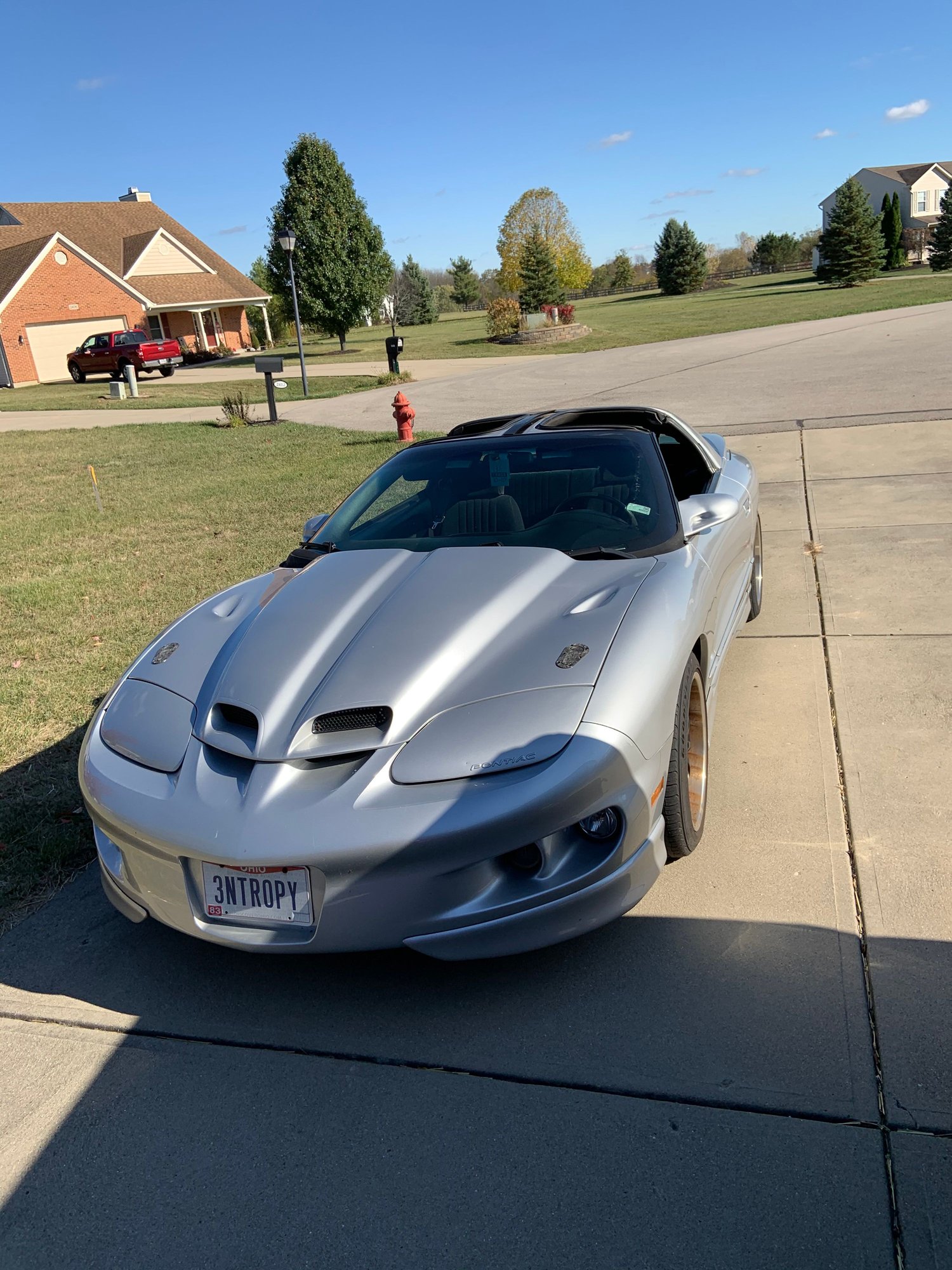 2002 Pontiac Firebird Ground Effects