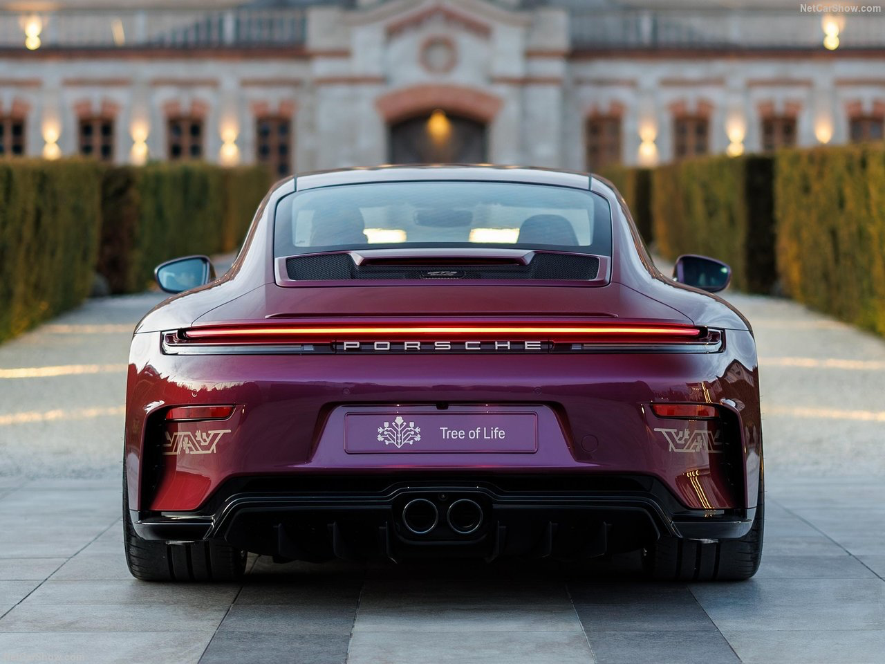 Tree of Life GT3T - Rennlist - Porsche Discussion Forums