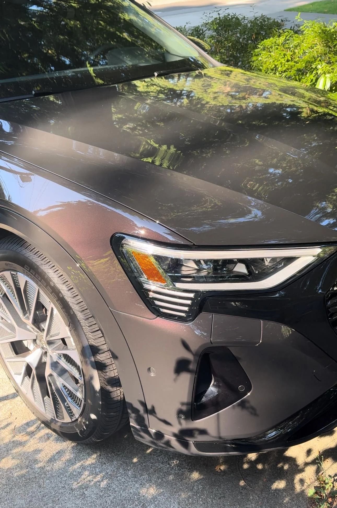 Madeira Brown? - AudiWorld Forums