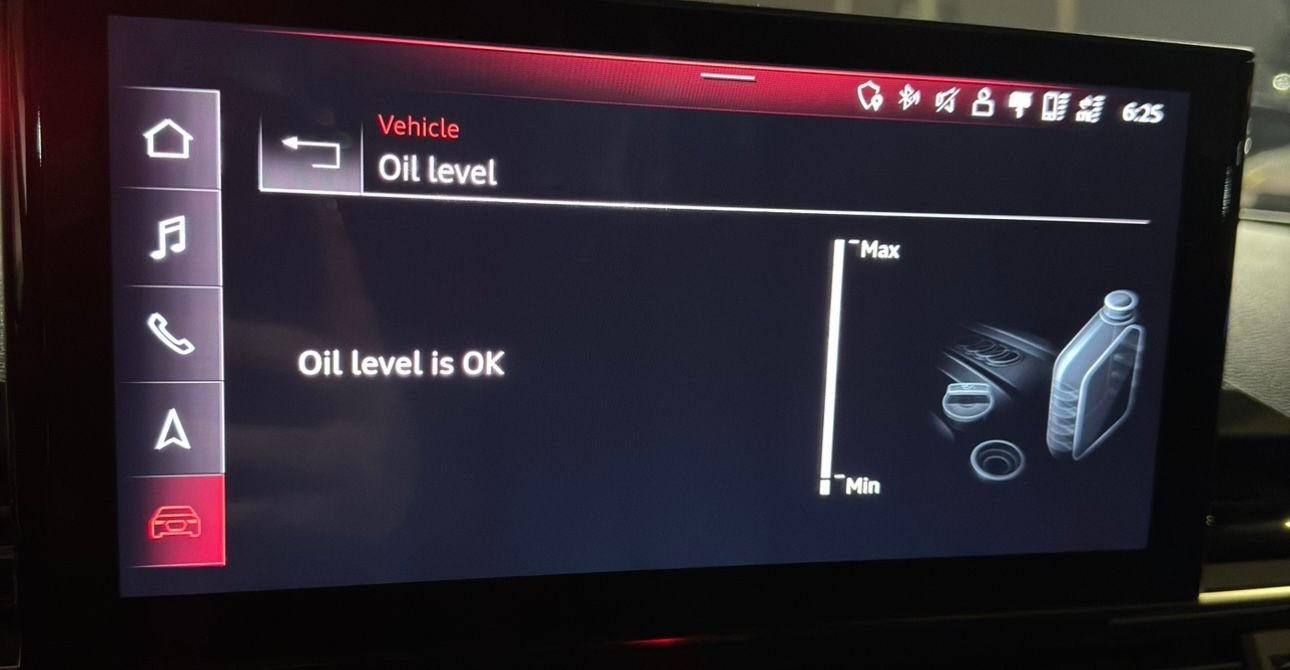 Reading Oil Level - AudiWorld Forums