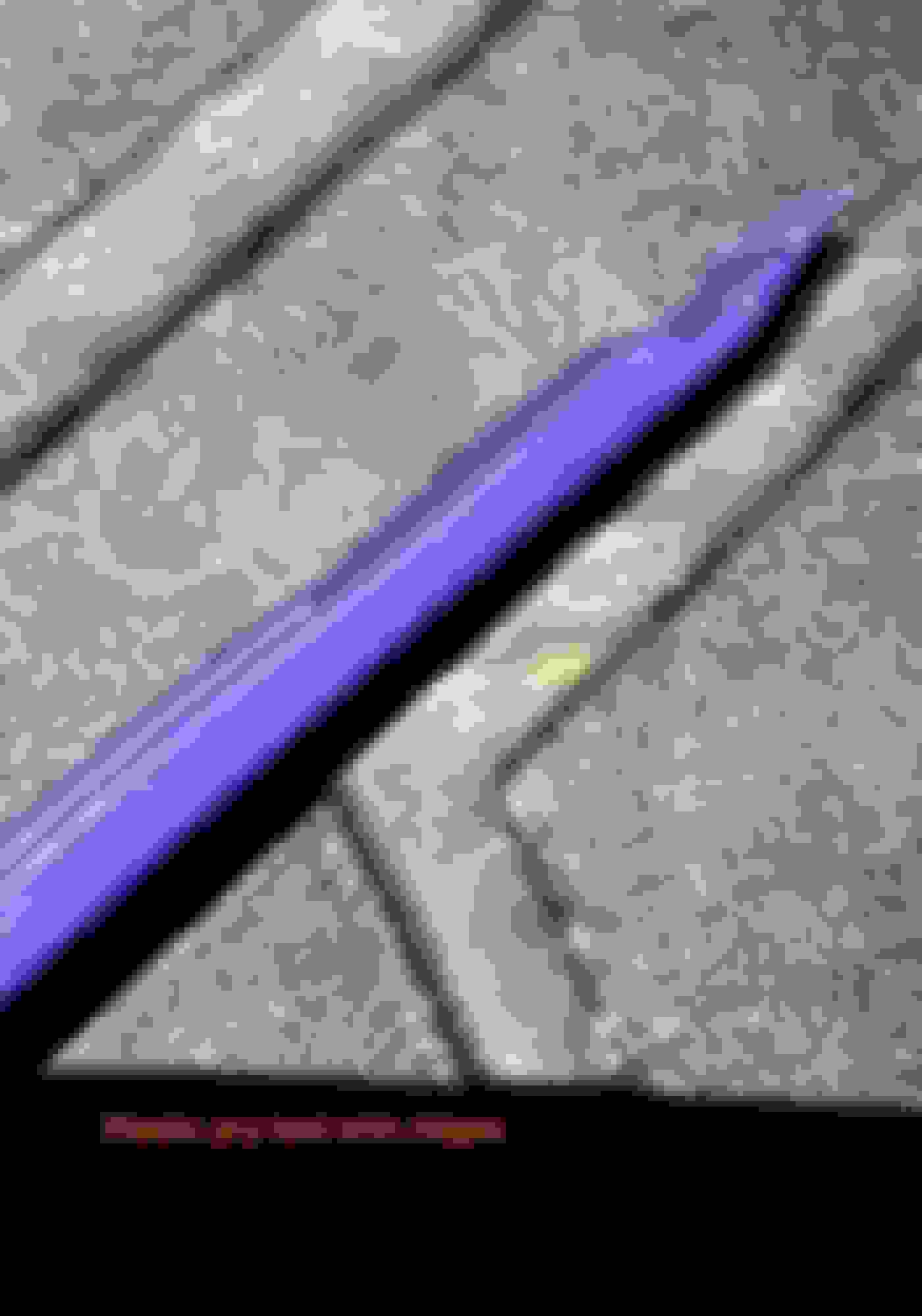 MirrorTap/Radar Detector Step-By-Step - AudiWorld Forums