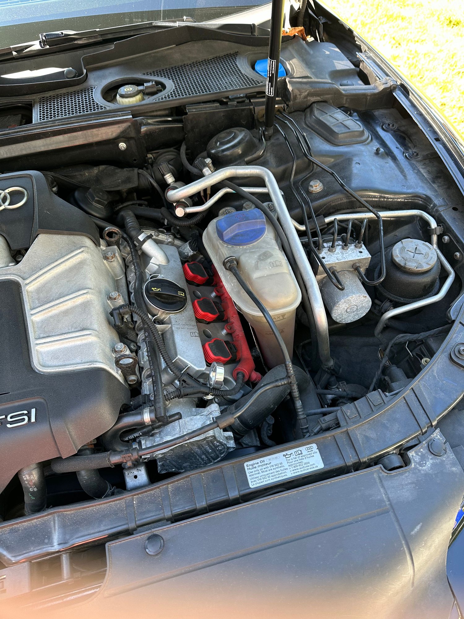 Fun and sporty 2012 Audi S5 3.0t Prestige Convertible for sale - AudiWorld Forums