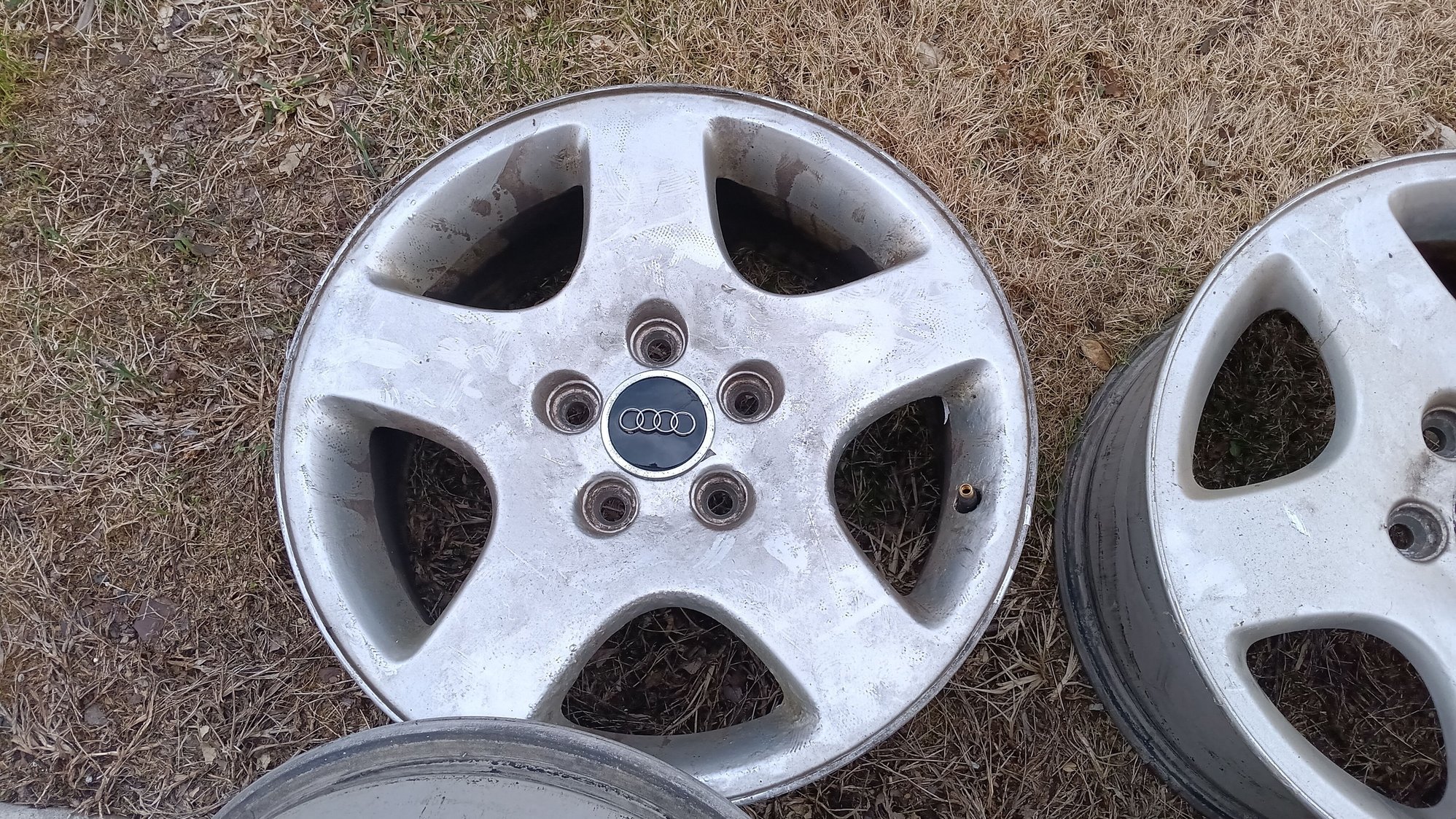 Audi A4 B5 wheels and center caps - AudiWorld Forums