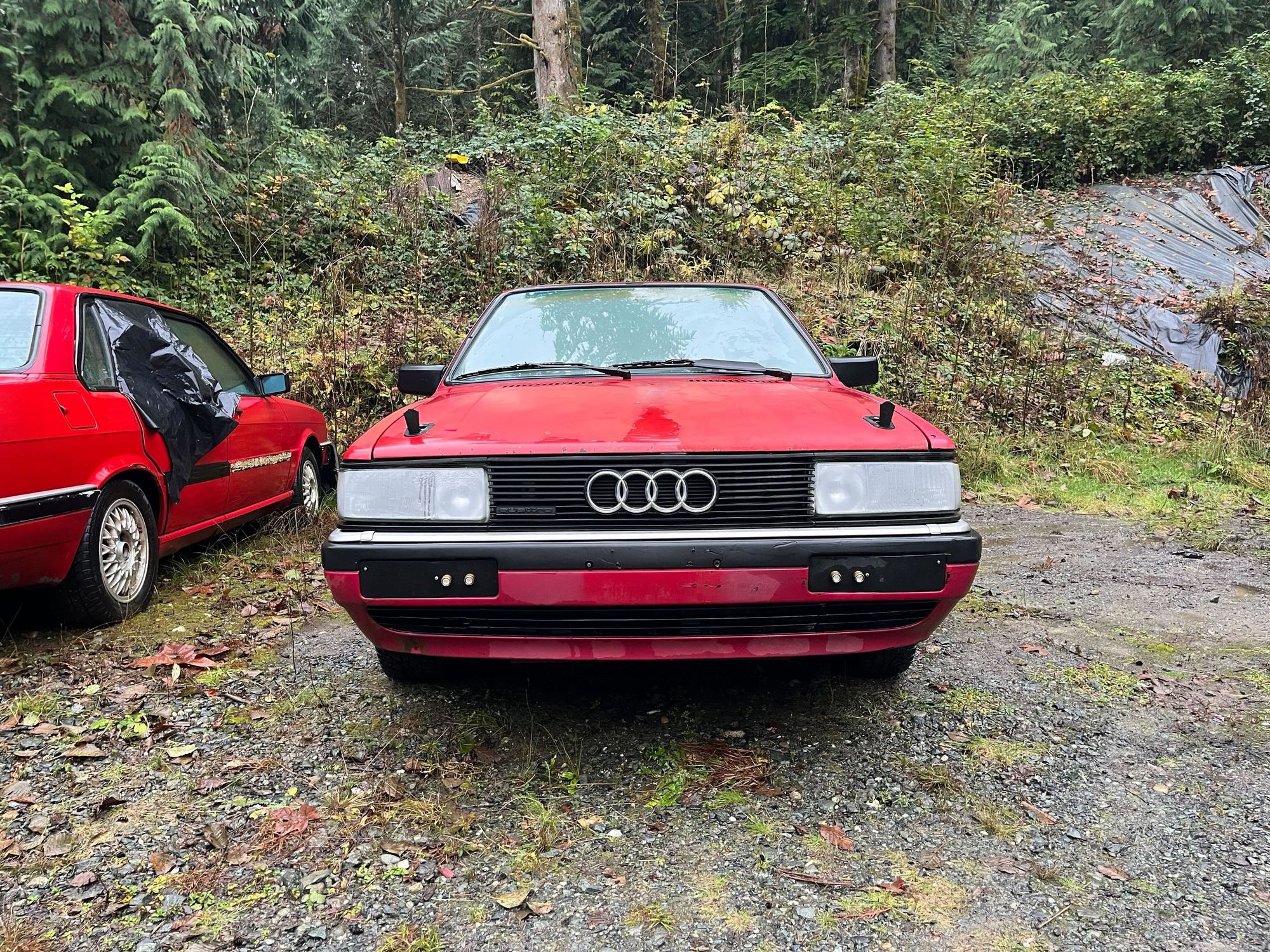 1986 Audi 4000 CS Quattro - AudiWorld Forums