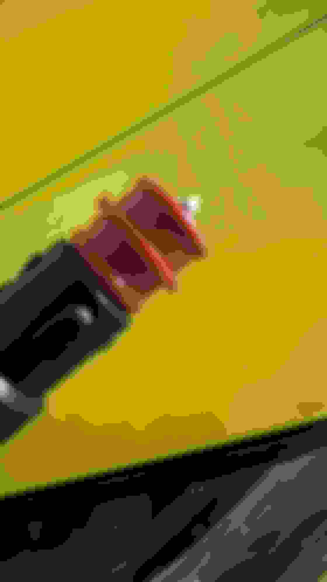 Plugging in a battery maintainer - CorvetteForum - Chevrolet Corvette ...