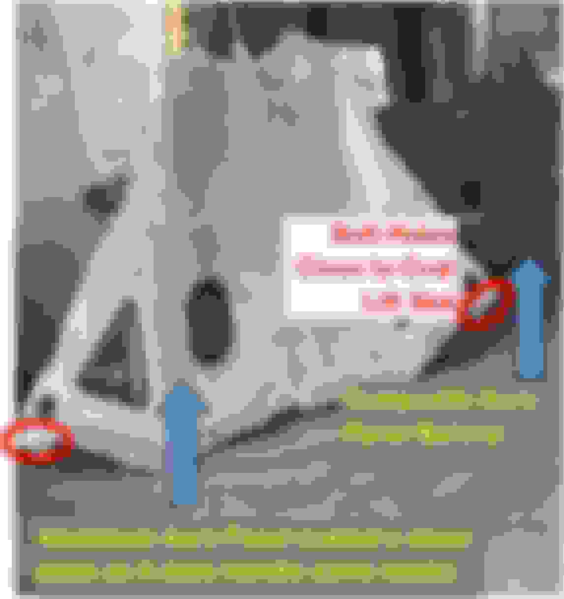 C8 AFM Disable? - Page 6 - CorvetteForum - Chevrolet Corvette Forum Discussion