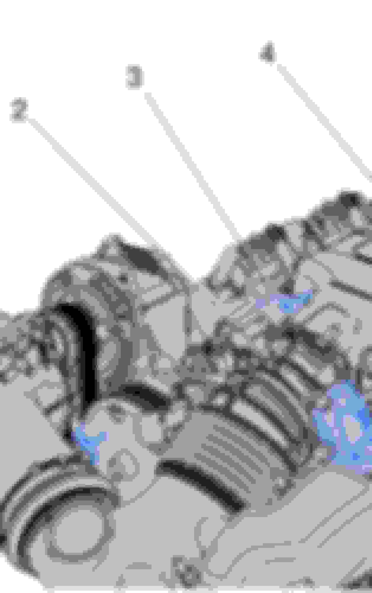 Check engine code P0455 - CorvetteForum - Chevrolet Corvette Forum ...