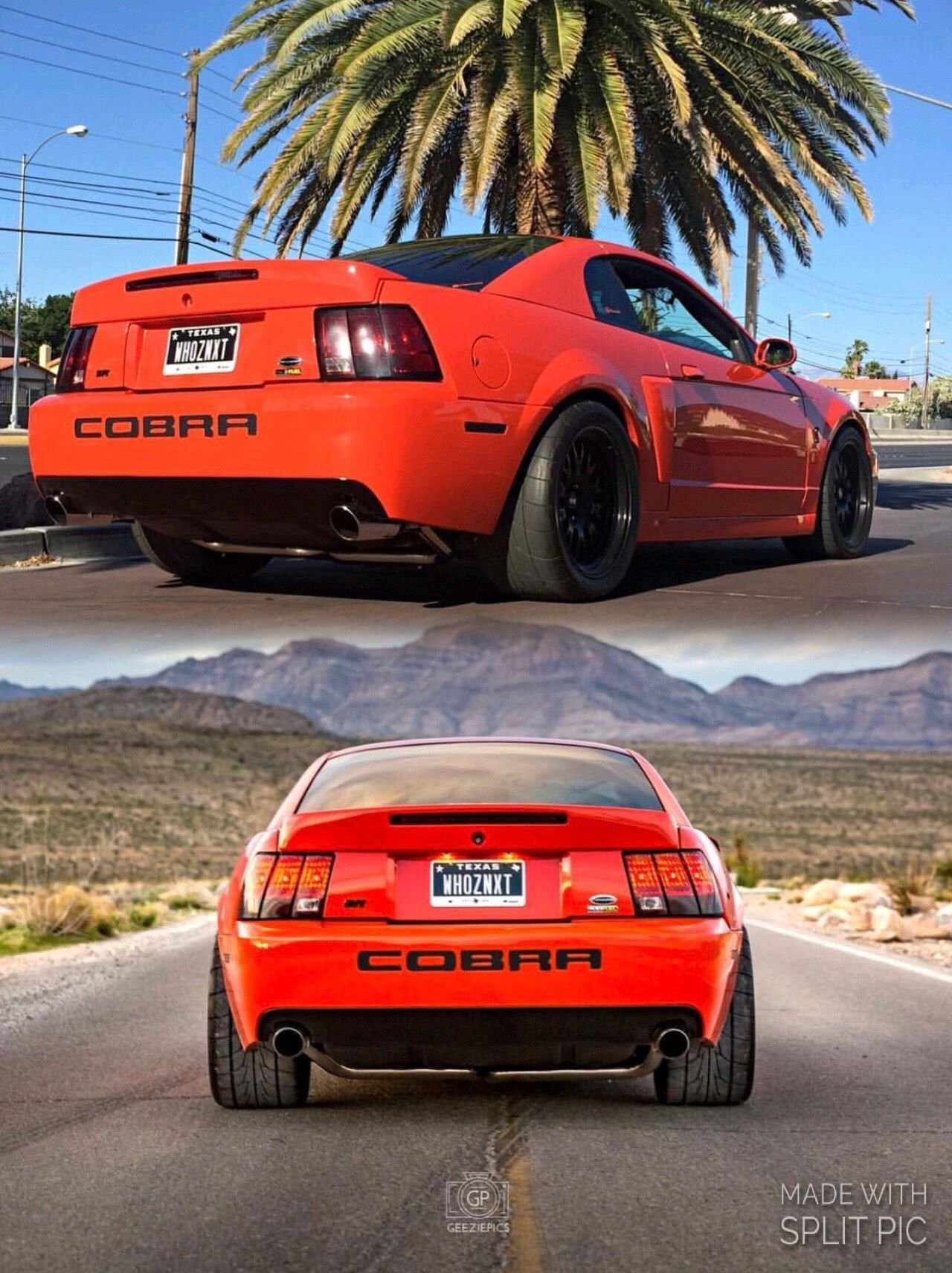 WTT (Want To Trade) 2004 Ford SVT Cobra Competition Orange for C6Z ...