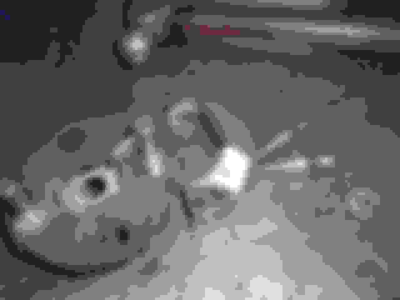 D-Flat Rag joint Recondition - CorvetteForum - Chevrolet Corvette Forum ...