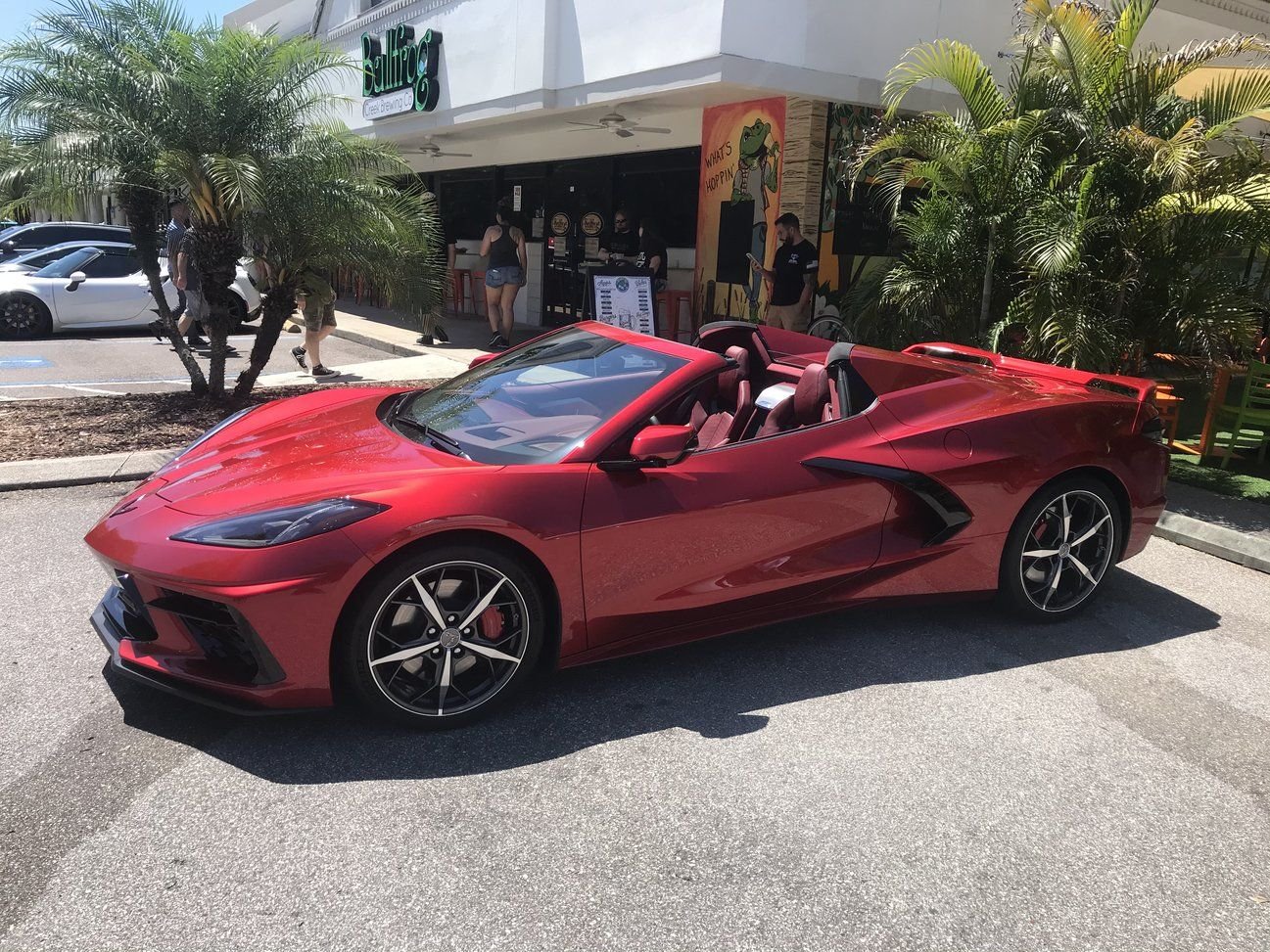 Morello Red with Red Mist - CorvetteForum - Chevrolet Corvette Forum ...