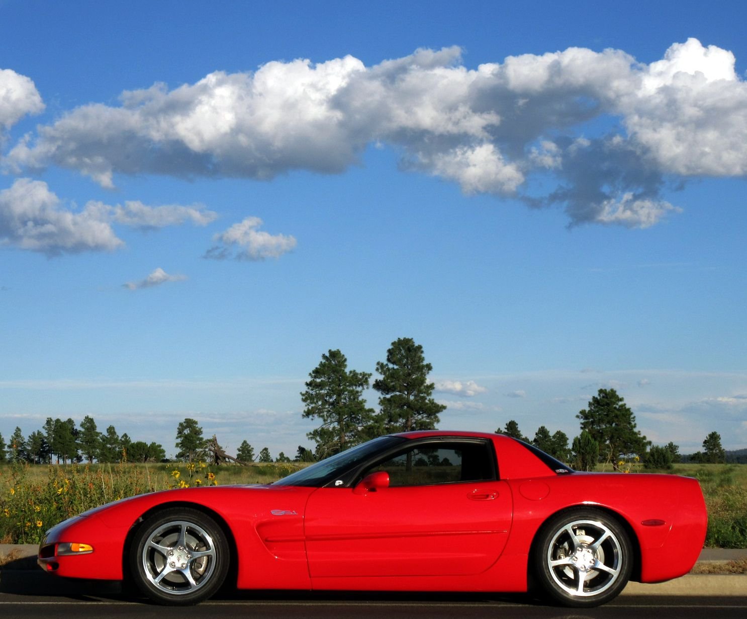 C5 Corvette, side by side with ....... - CorvetteForum - Chevrolet ...