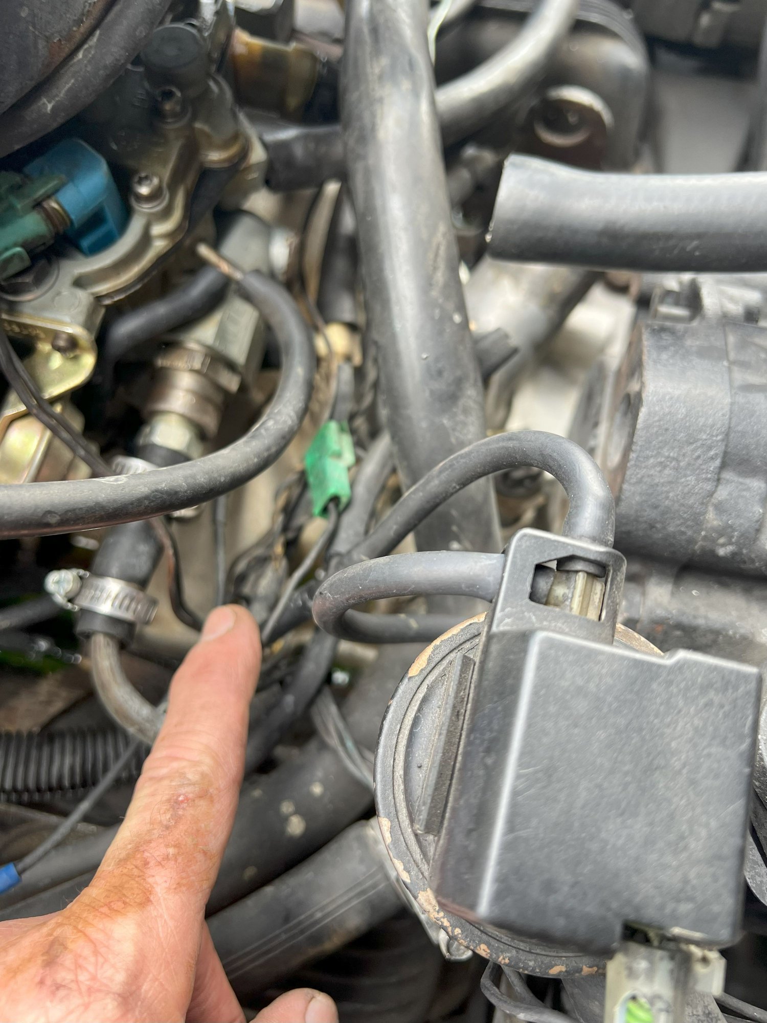 Whats this plug into near the Carburetor - CorvetteForum - Chevrolet ...