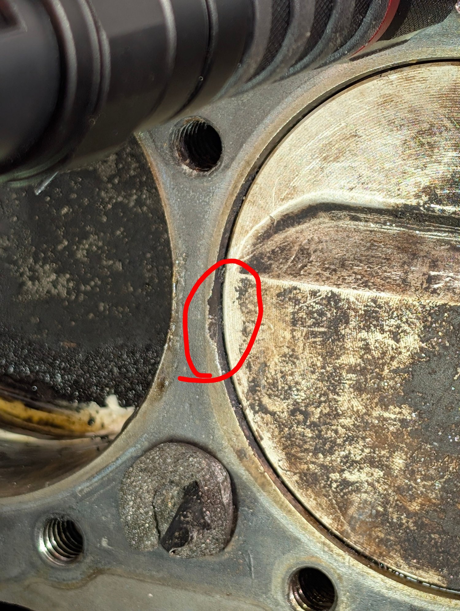 Chip off the ole block! Am I dead? - CorvetteForum - Chevrolet Corvette ...