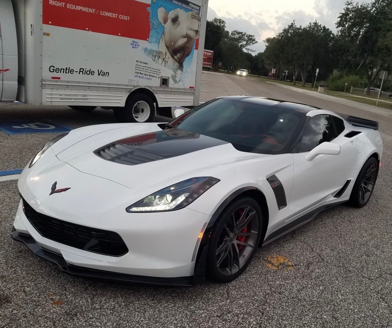 C7 with full stripes and dual roof option - CorvetteForum - Chevrolet ...