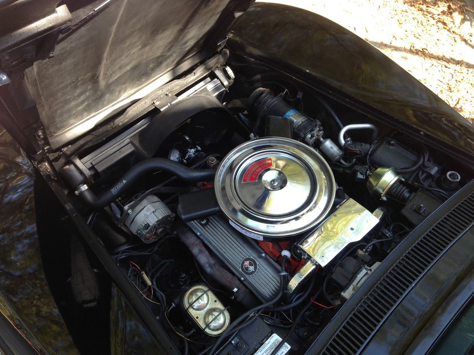 Share your C3 Engine Compartment - Page 4 - CorvetteForum - Chevrolet ...