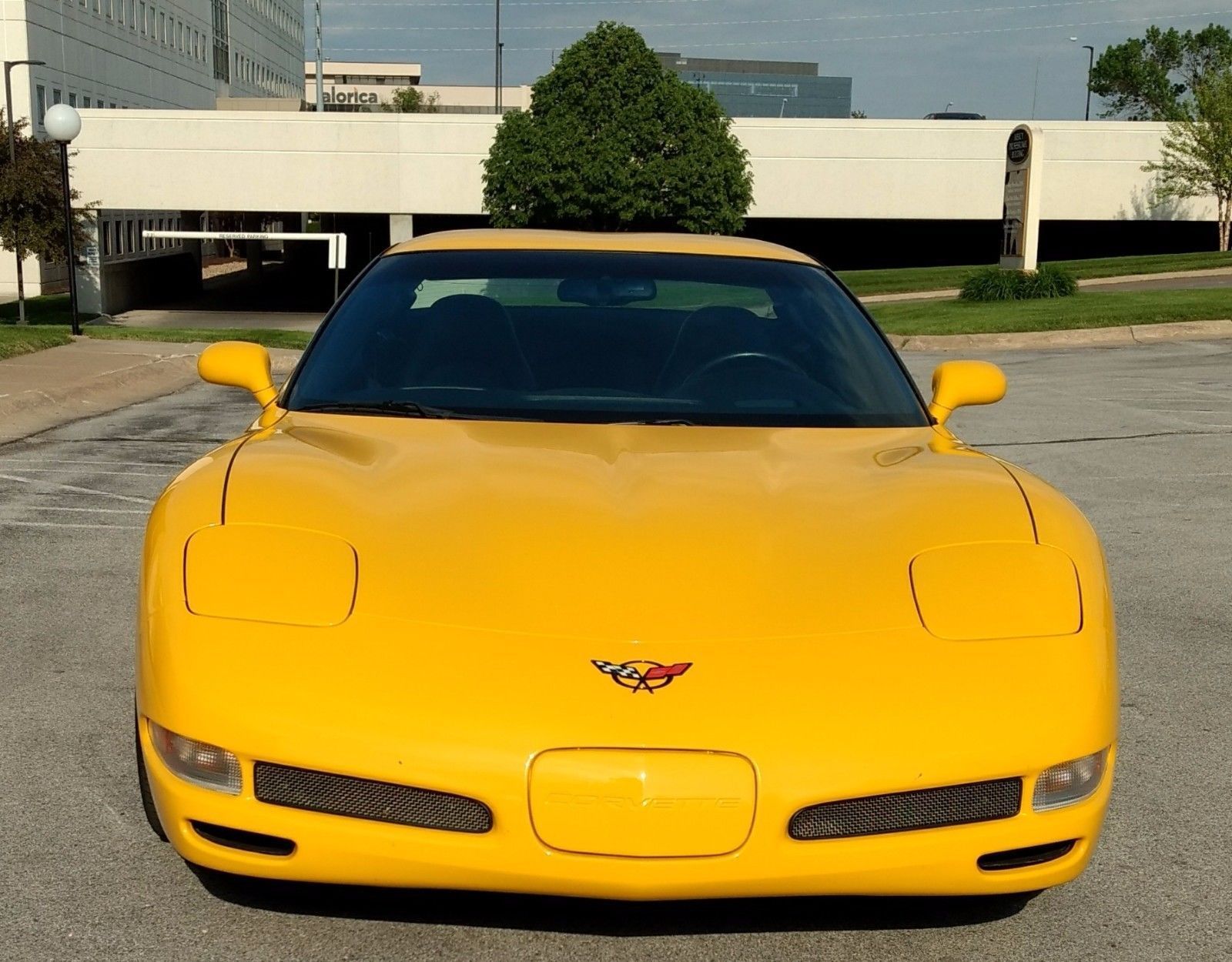 FS (For Sale) 2004 Millenium Yellow Z06 in excellent condition ...