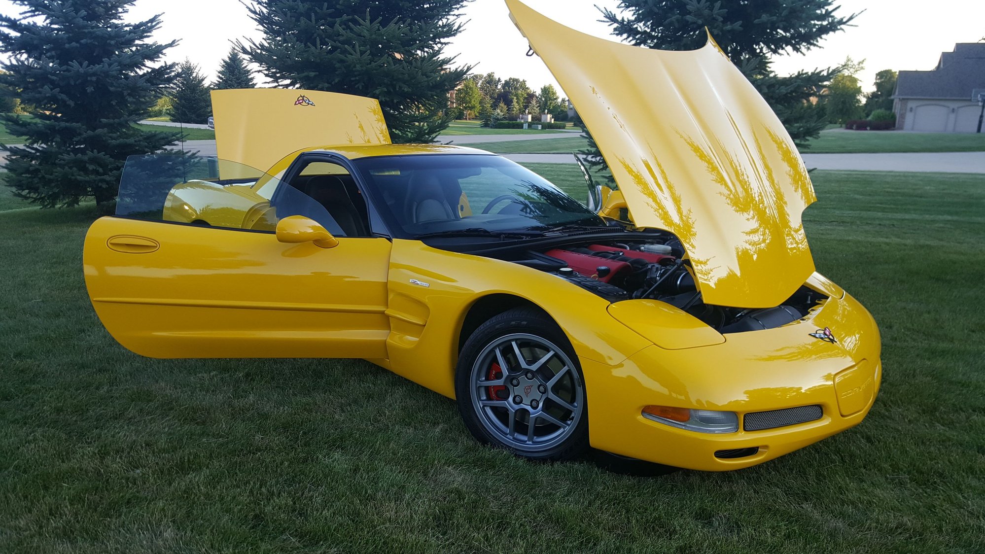 2001 C5 Z06 Millennium Yellow For Sale - CorvetteForum - Chevrolet ...