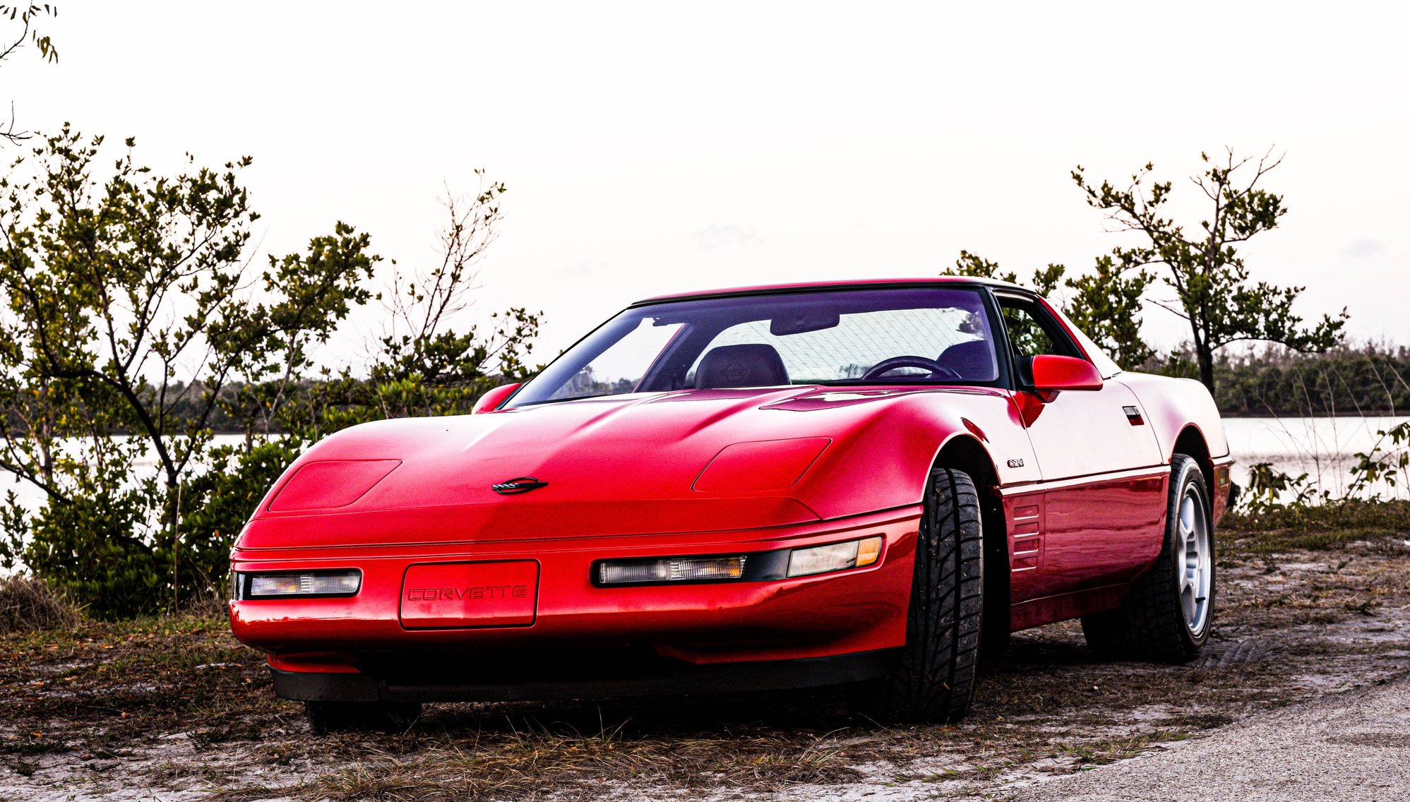 Finally received my 94 ZR1 - CorvetteForum - Chevrolet Corvette Forum ...