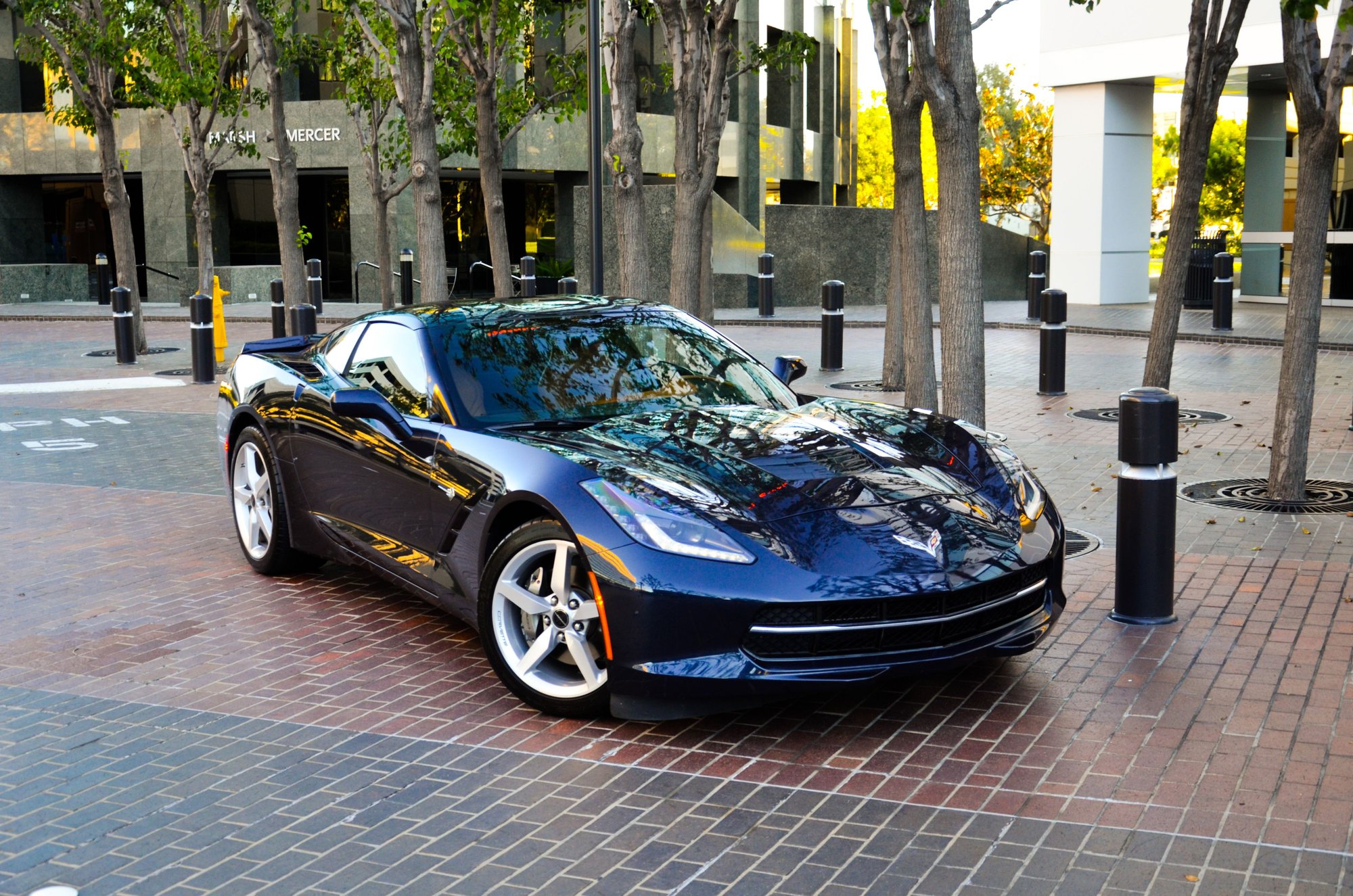 Official Night Race Blue thread - Page 33 - CorvetteForum - Chevrolet ...