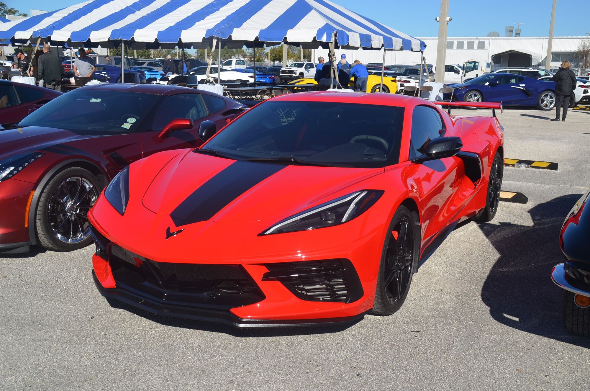 Ultimate Corvette Party in Tampa - CorvetteForum - Chevrolet Corvette ...
