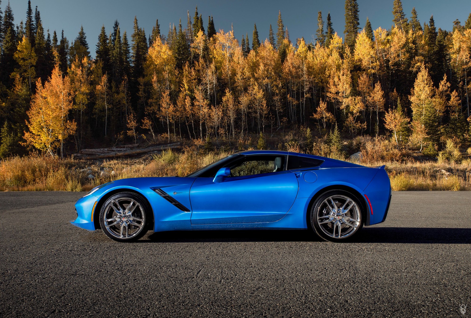 Finally pulled the trigger... - CorvetteForum - Chevrolet Corvette Forum Discussion