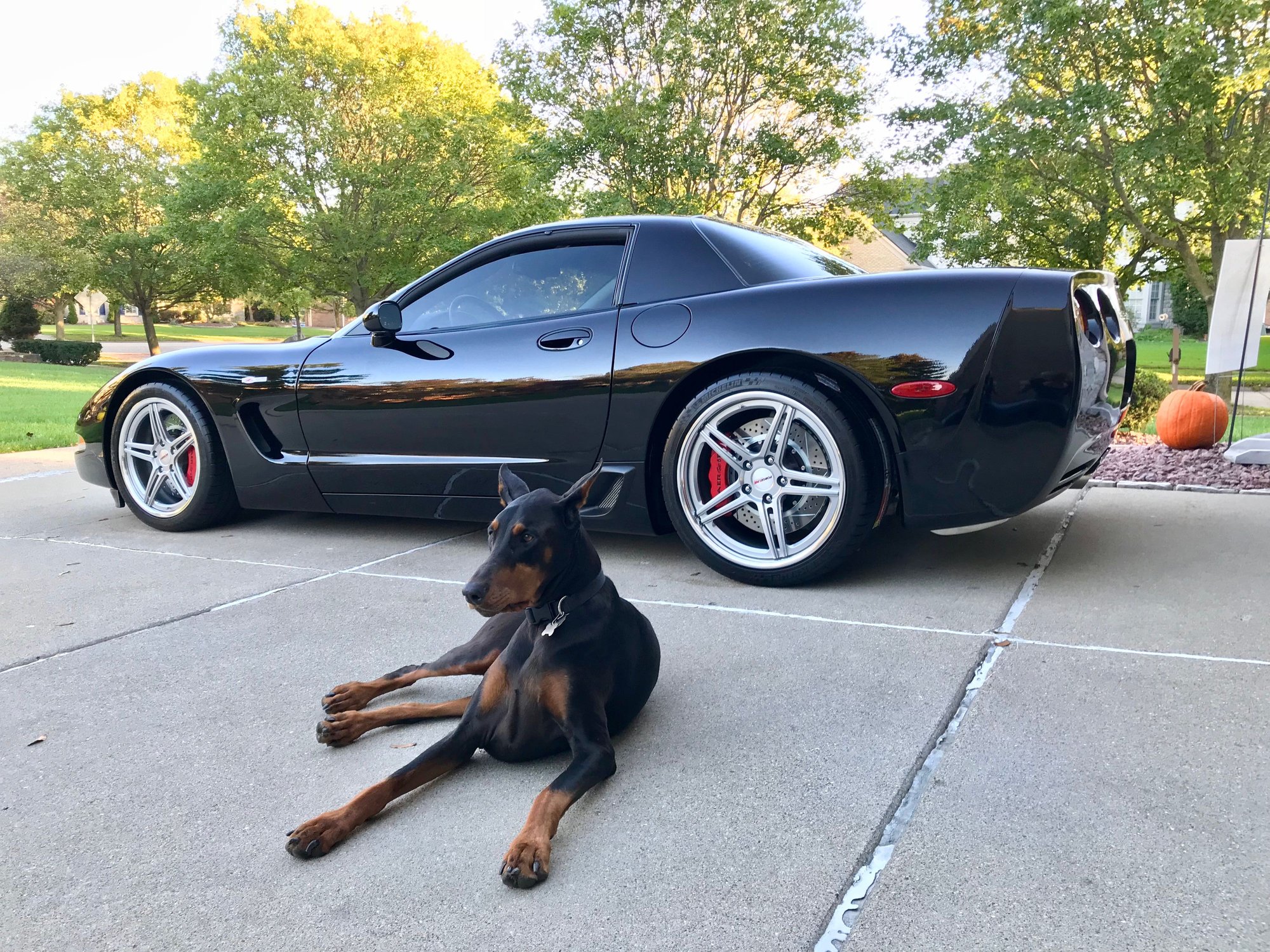 Forgeline and C5’s - CorvetteForum - Chevrolet Corvette Forum Discussion