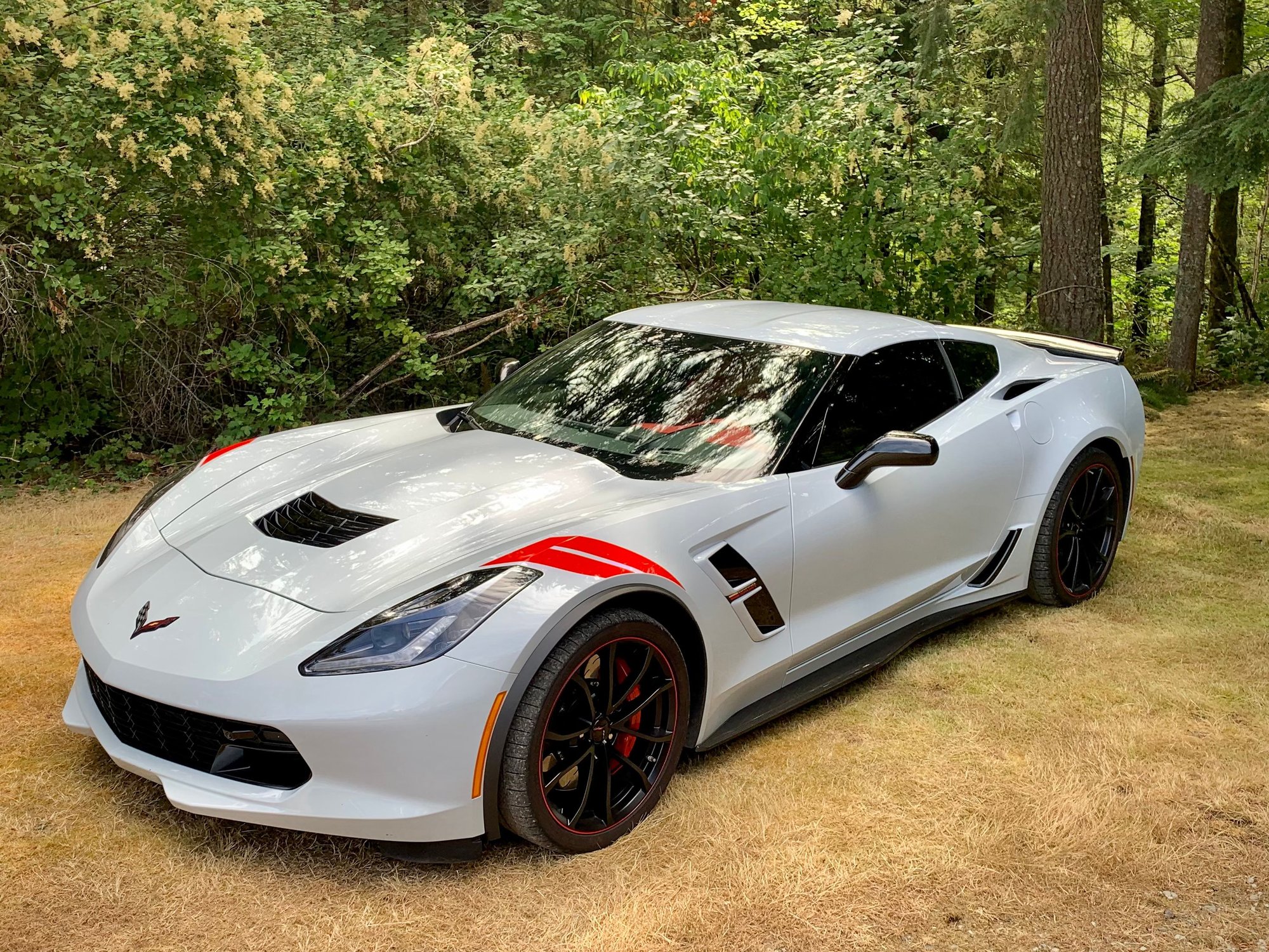 Issaquah Salmon Days - CorvetteForum - Chevrolet Corvette Forum Discussion