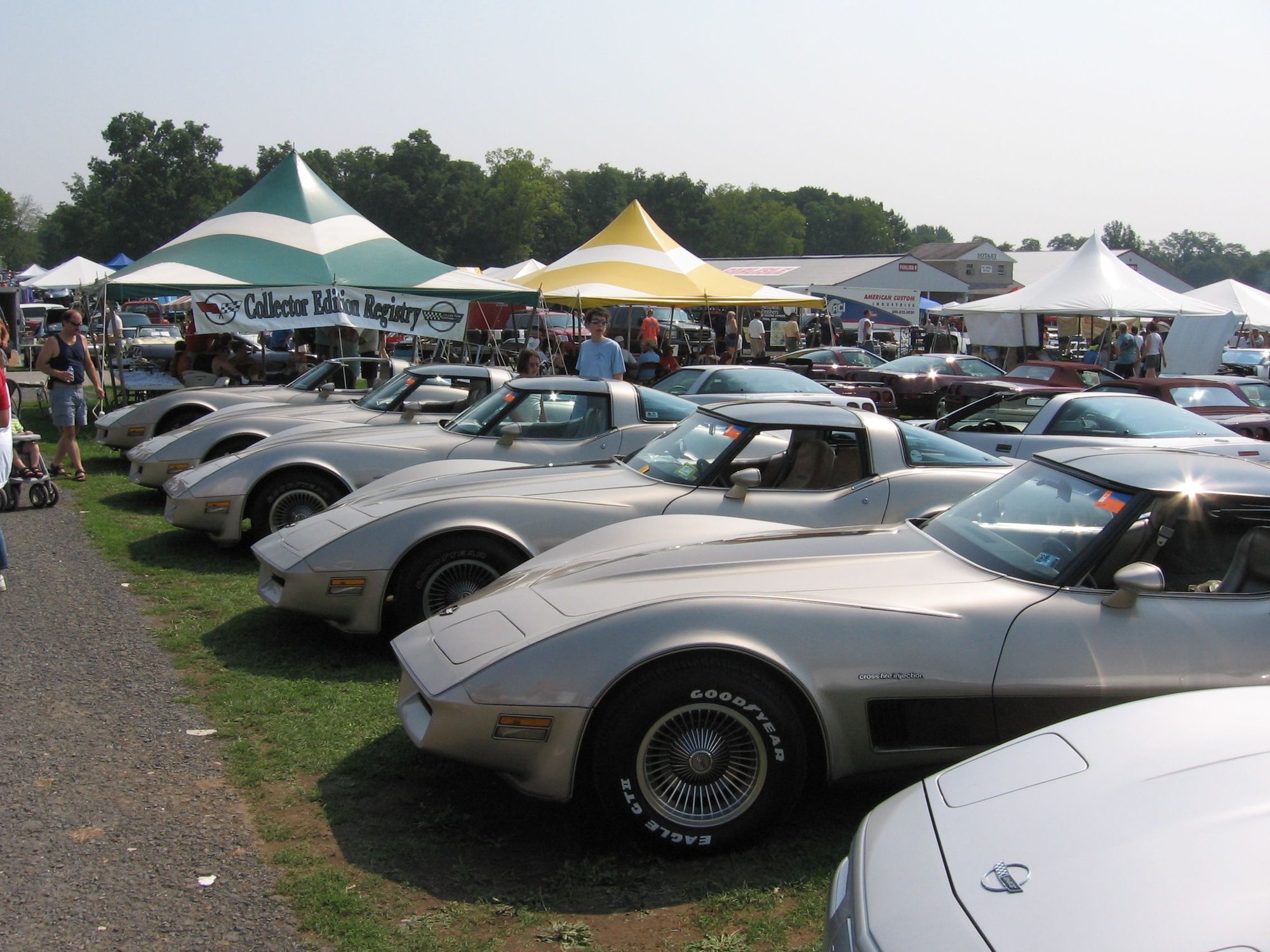1982 Collector Edition - CorvetteForum - Chevrolet Corvette Forum ...