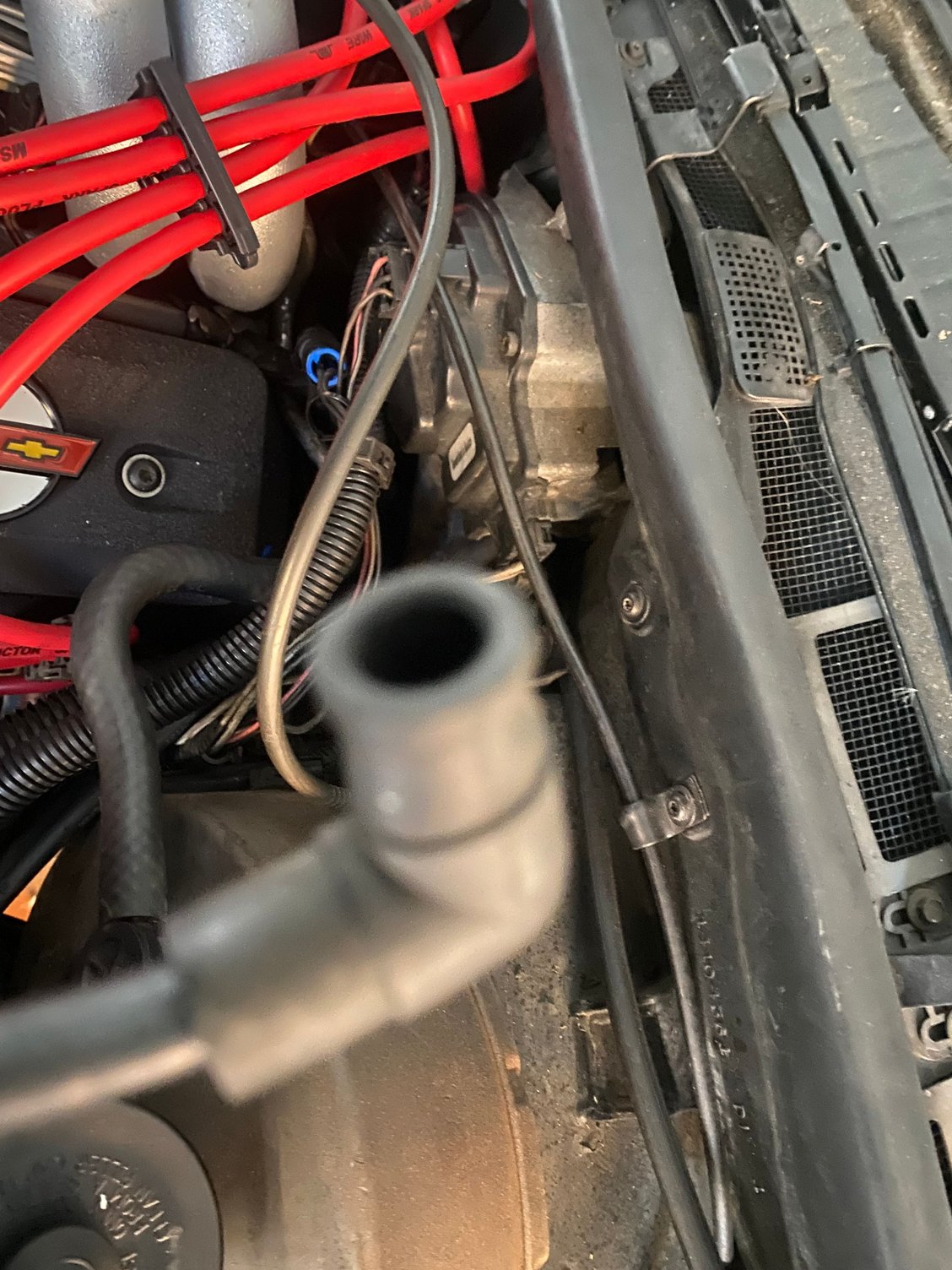 L98 various sensor connectors and vapor(?) hose - CorvetteForum ...