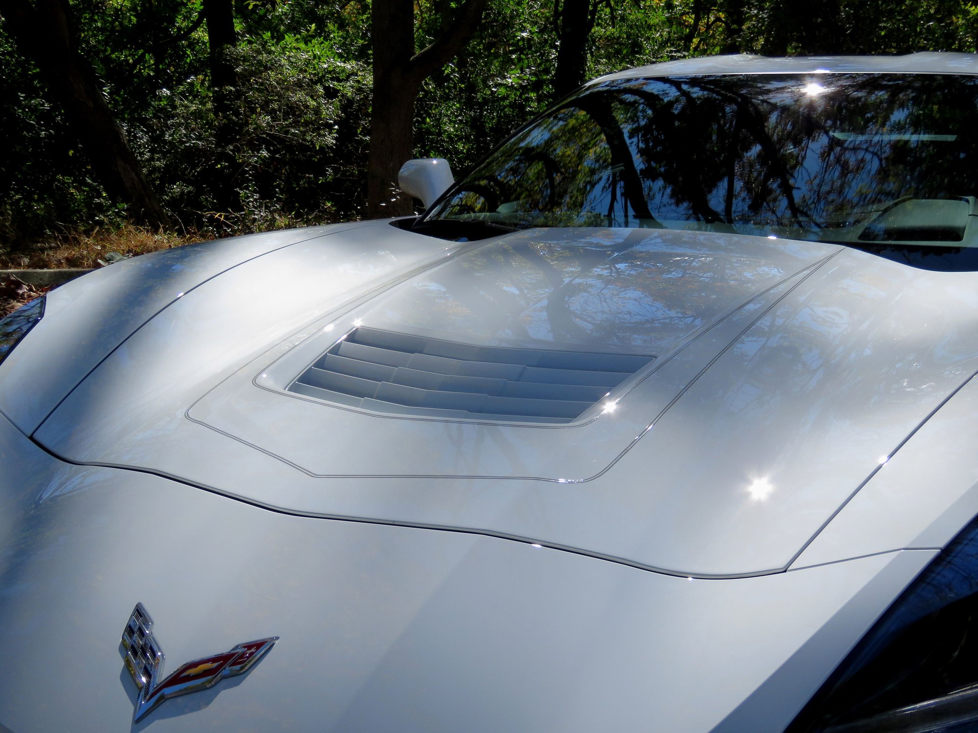 Pinstripe pictures - Page 2 - CorvetteForum - Chevrolet Corvette Forum ...