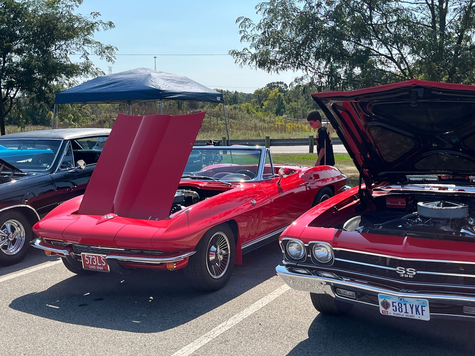 Car show pics - CorvetteForum - Chevrolet Corvette Forum Discussion