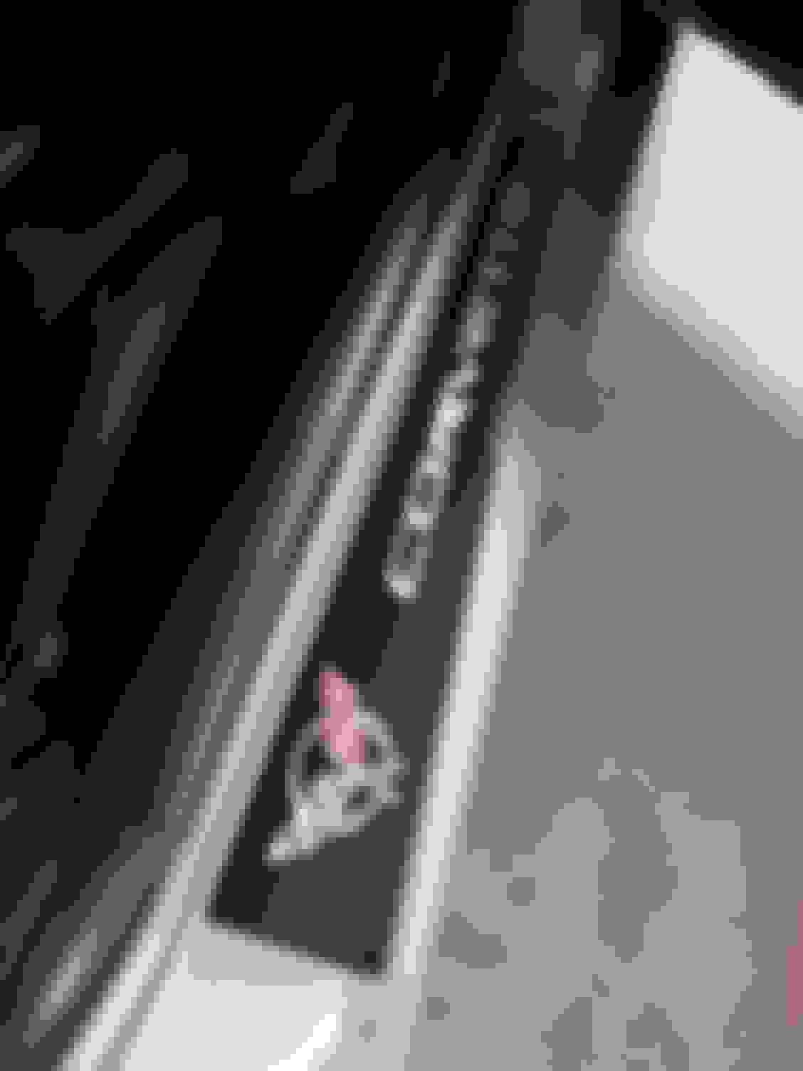 C5 Sill Plates, AMT Custom Designs - CorvetteForum - Chevrolet Corvette ...