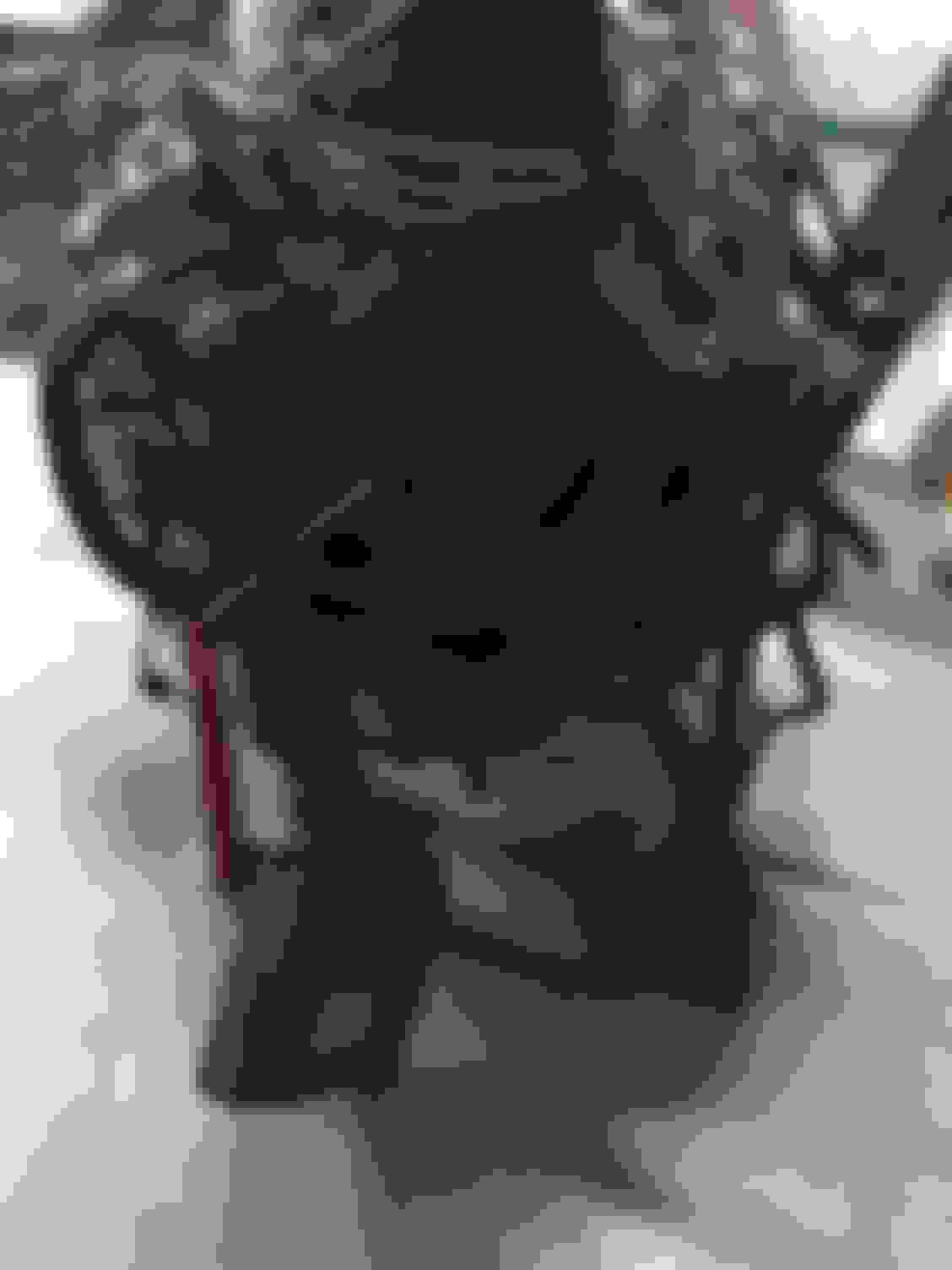 FS (For Sale) 1991 L98 Complete Engine for Sale - CorvetteForum ...