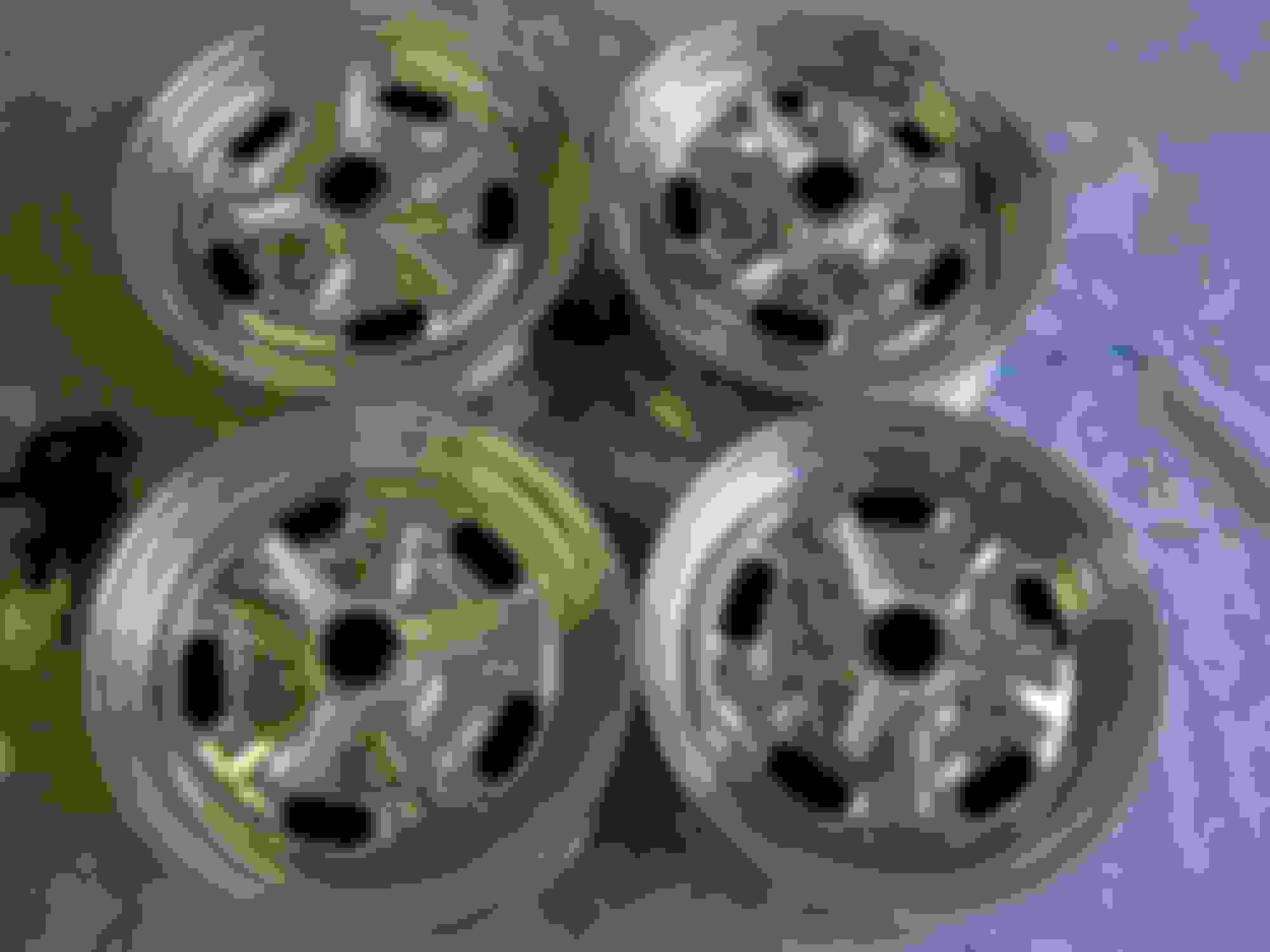 FS (For Sale) PSE aluminum wheels - CorvetteForum - Chevrolet Corvette ...