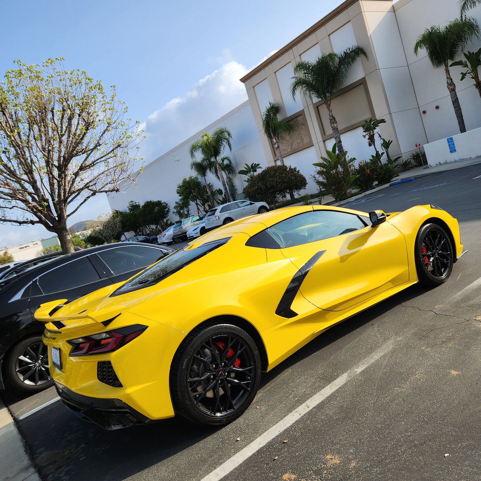 Official Competition Yellow Color Thread - Page 3 - CorvetteForum ...
