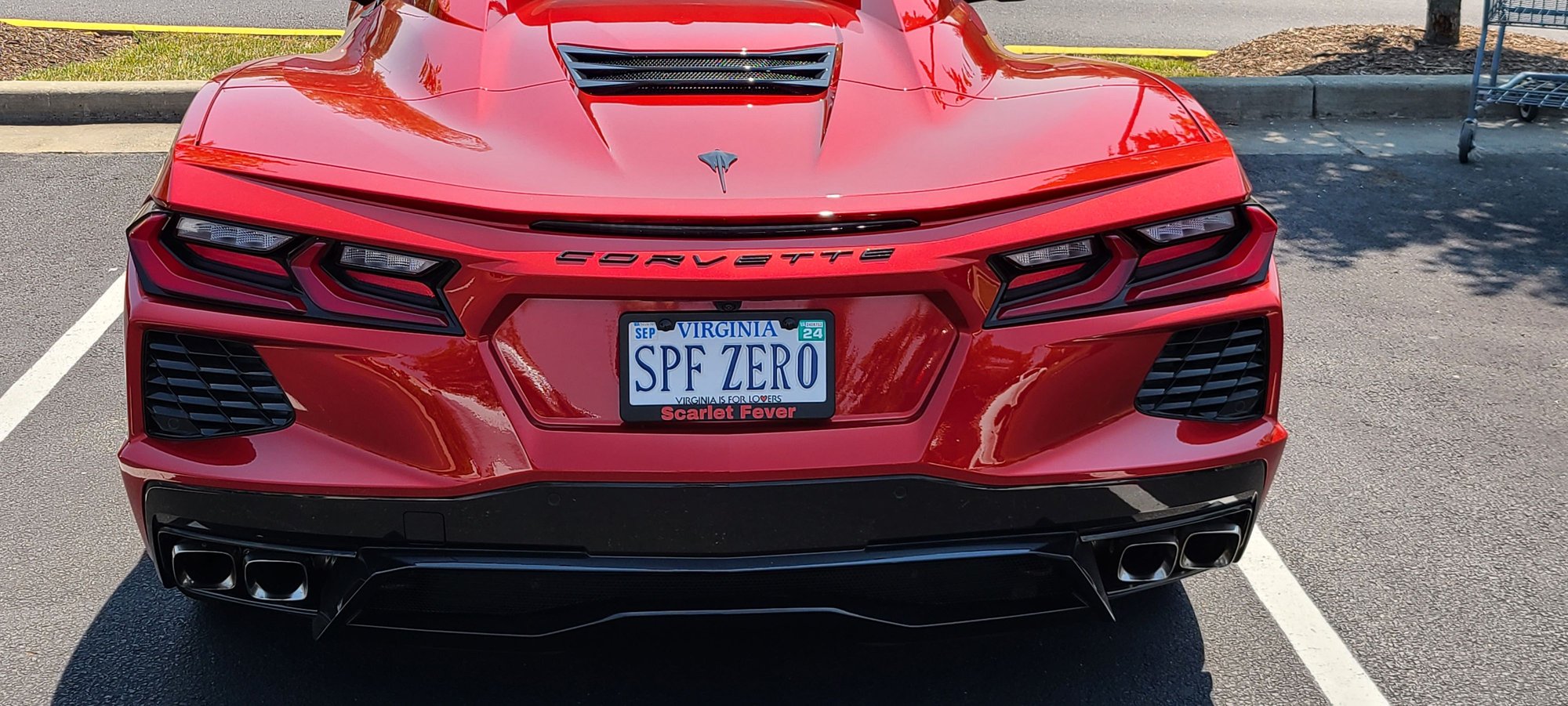 Rear License Plate Frame? - CorvetteForum - Chevrolet Corvette Forum ...
