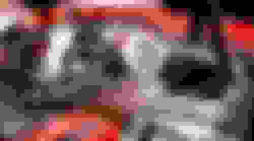 Coupe Rear Window Carbon Fiber Frame W Stainless Steel Trim for 2020 ...