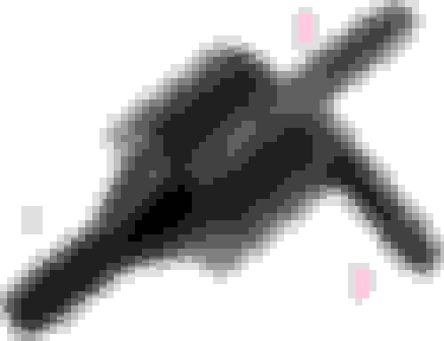 Plenum Vacuum Lines help.. - CorvetteForum - Chevrolet Corvette Forum ...