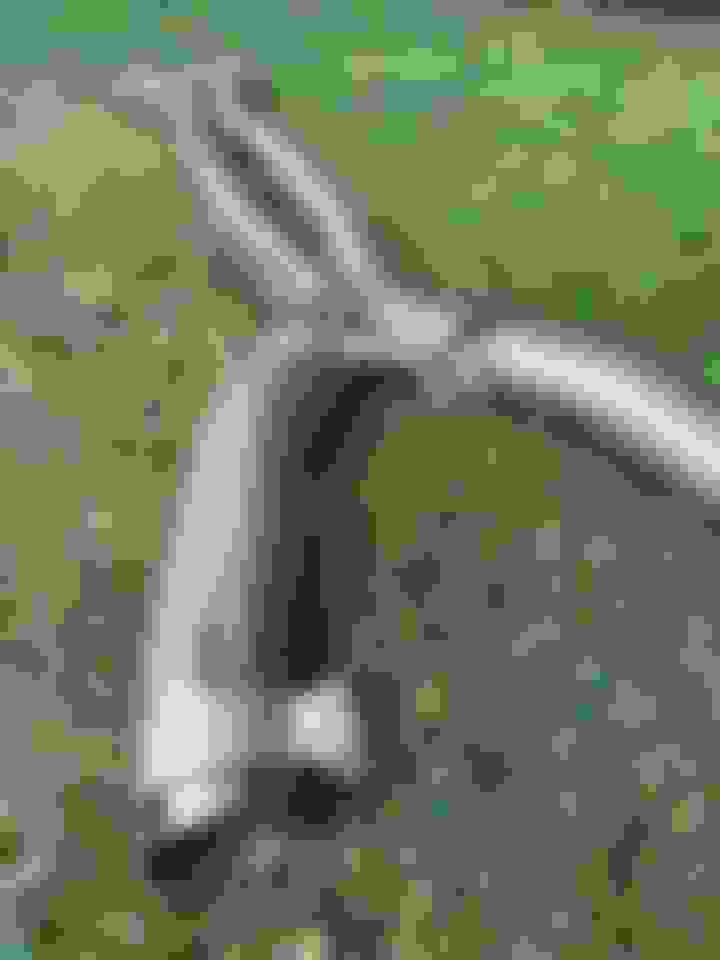 FS (For Sale) Corsa X pipe - CorvetteForum - Chevrolet Corvette Forum ...