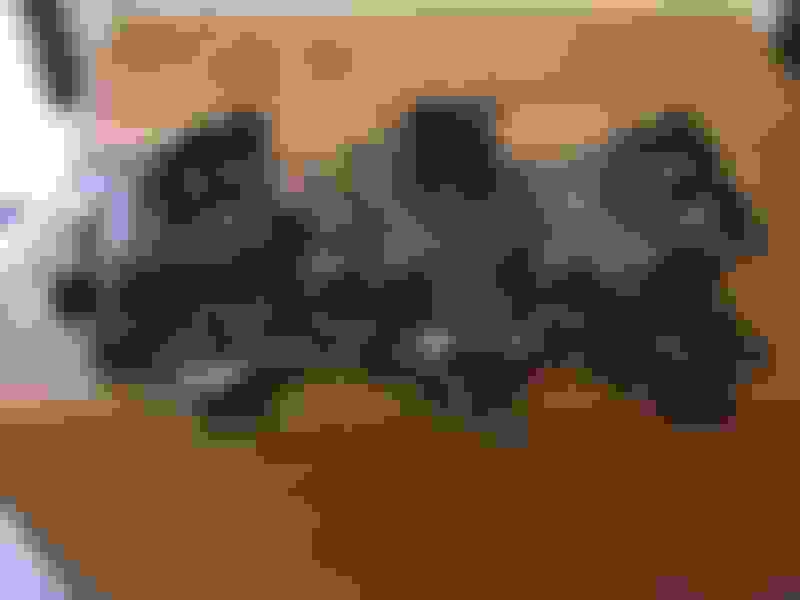 Tri power setup pros and cons - CorvetteForum - Chevrolet Corvette ...