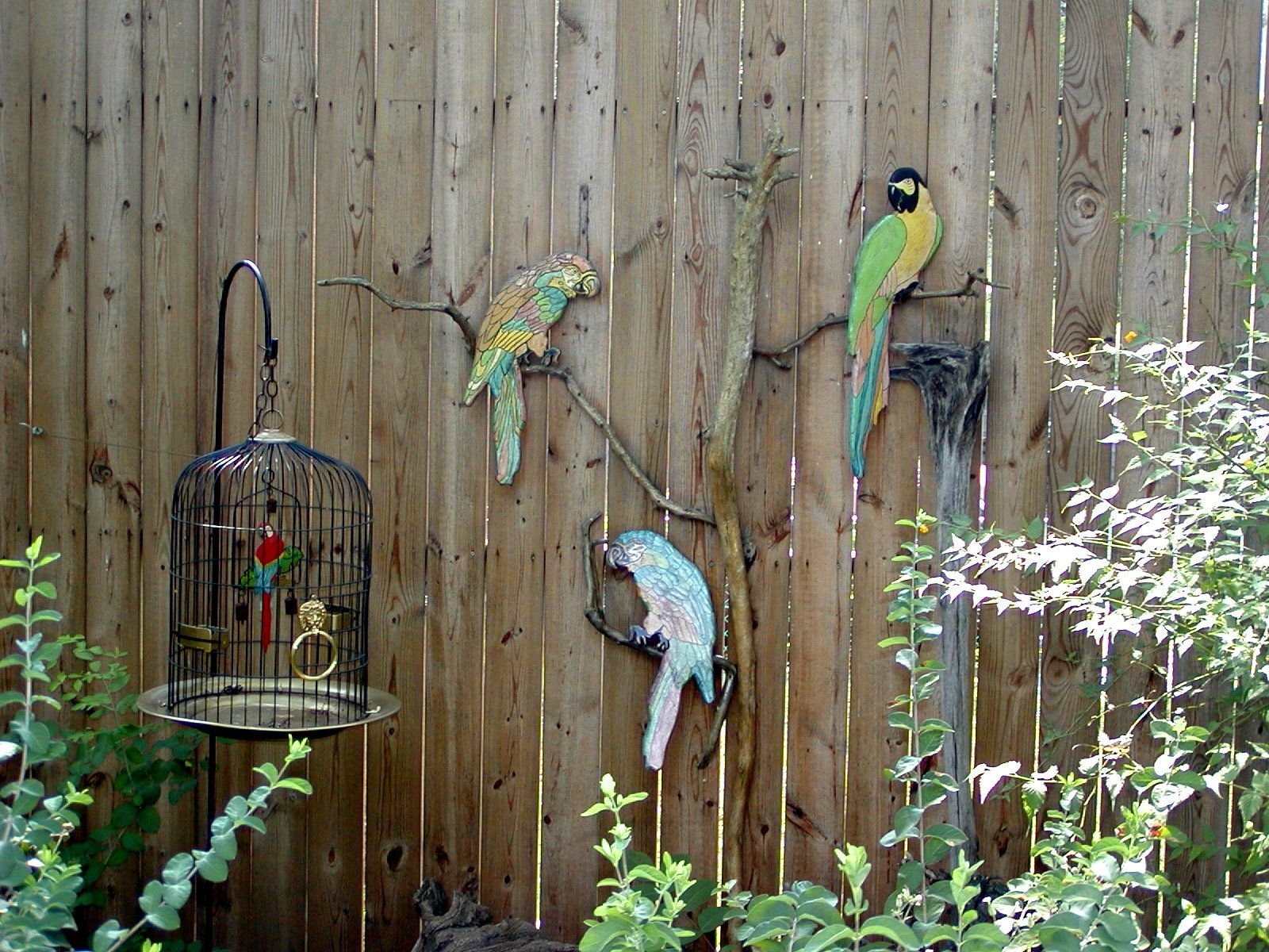 Parrot Shade Garden photo by haighr on Garden Showcase