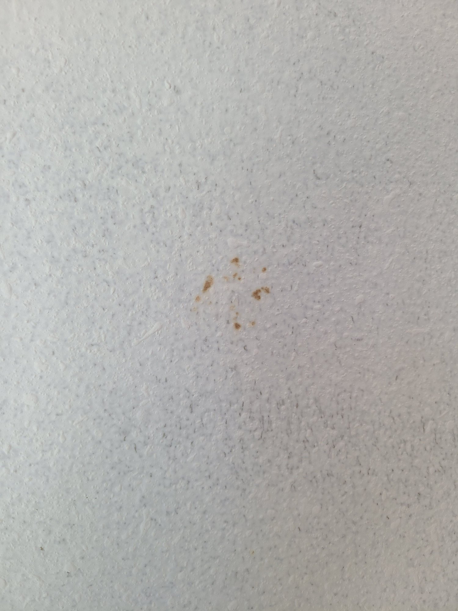 Stuff bleeding through paint - DoItYourself.com Community Forums