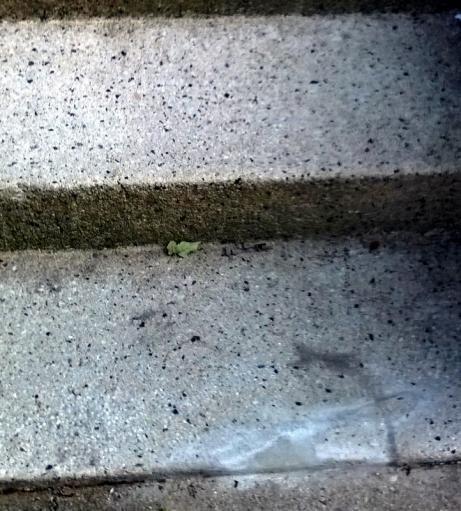 Blending new cement to match old -- step edge repair and more ...