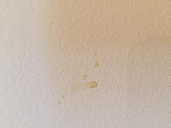 Yellow & oily drops bleeding through Walls - DoItYourself.com Community ...