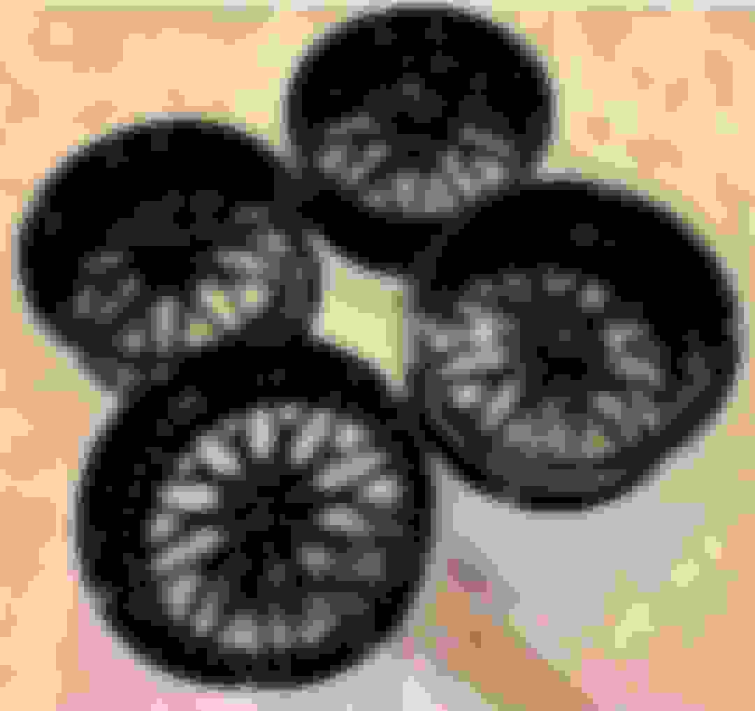 Built not bought .... - Ford F150 Forum - Community of Ford Truck Fans