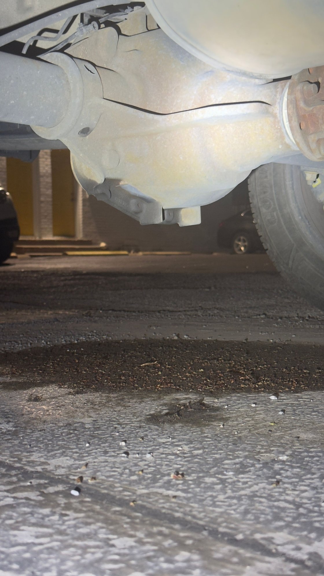 Rear Differential Leak - Ford F150 Forum - Community of Ford Truck Fans