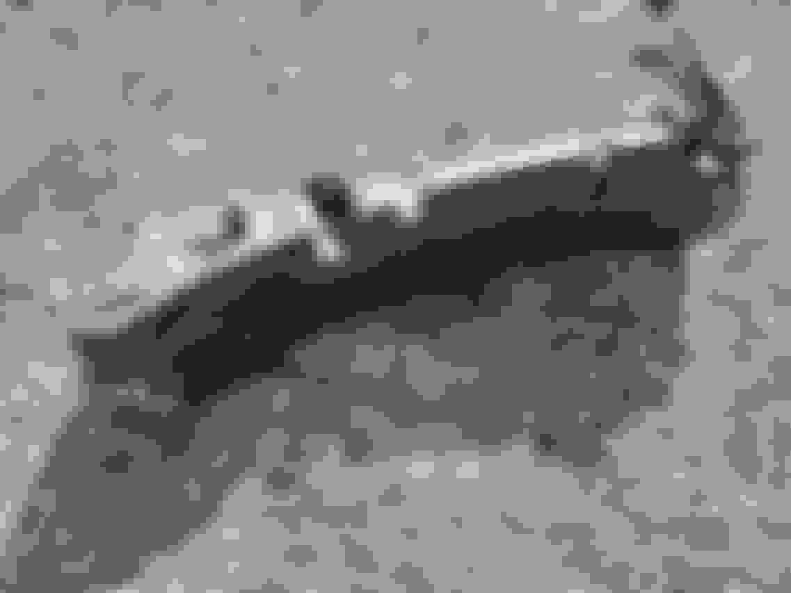 What is this? - Page 4 - Ford F150 Forum - Community of Ford Truck Fans